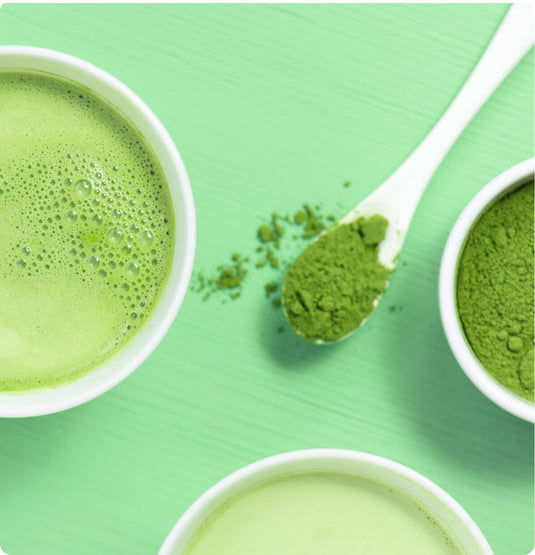 Zen Sleep + Immunity Restorative Sleep Gummies – Hyland's Naturals