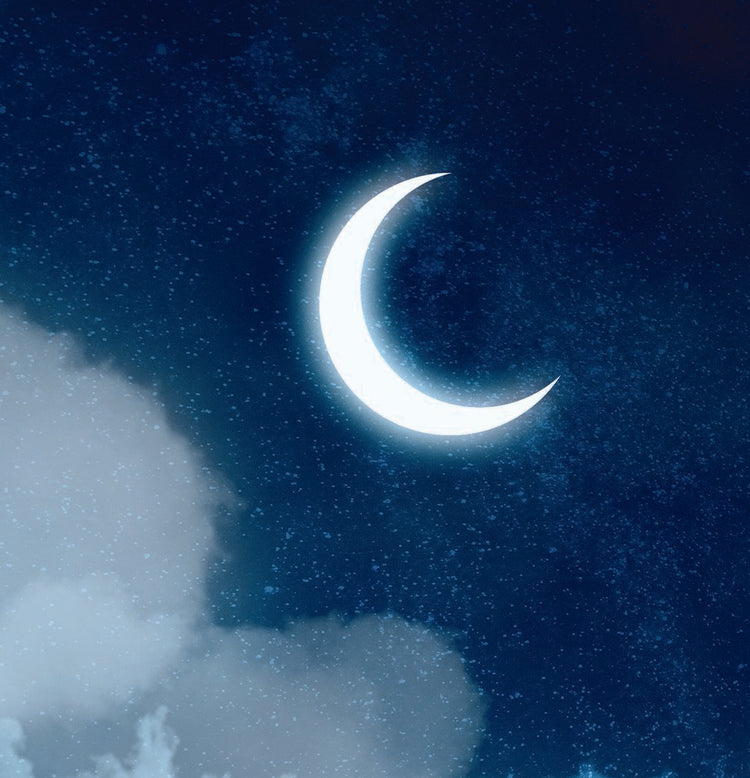 Zen Sleep + Immunity Restorative Sleep Gummies – Hyland's Naturals